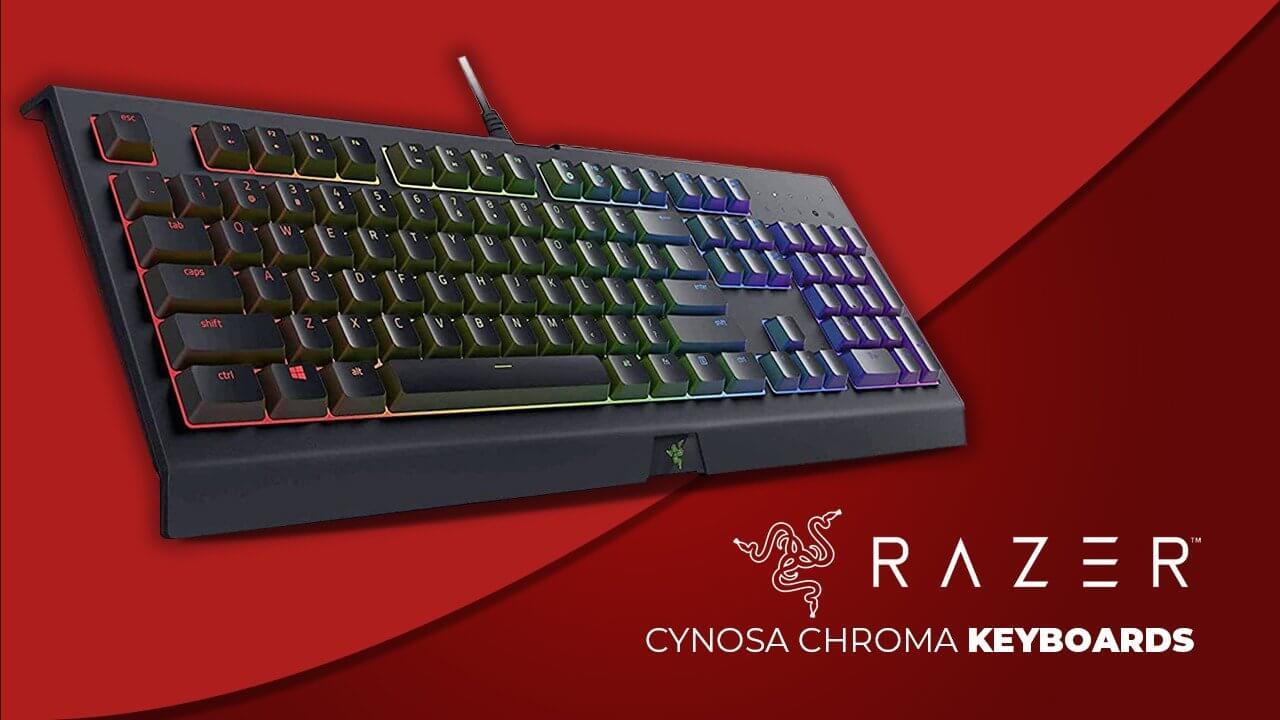 5 Best Keyboard for Rainbow Six Siege KMG Advice