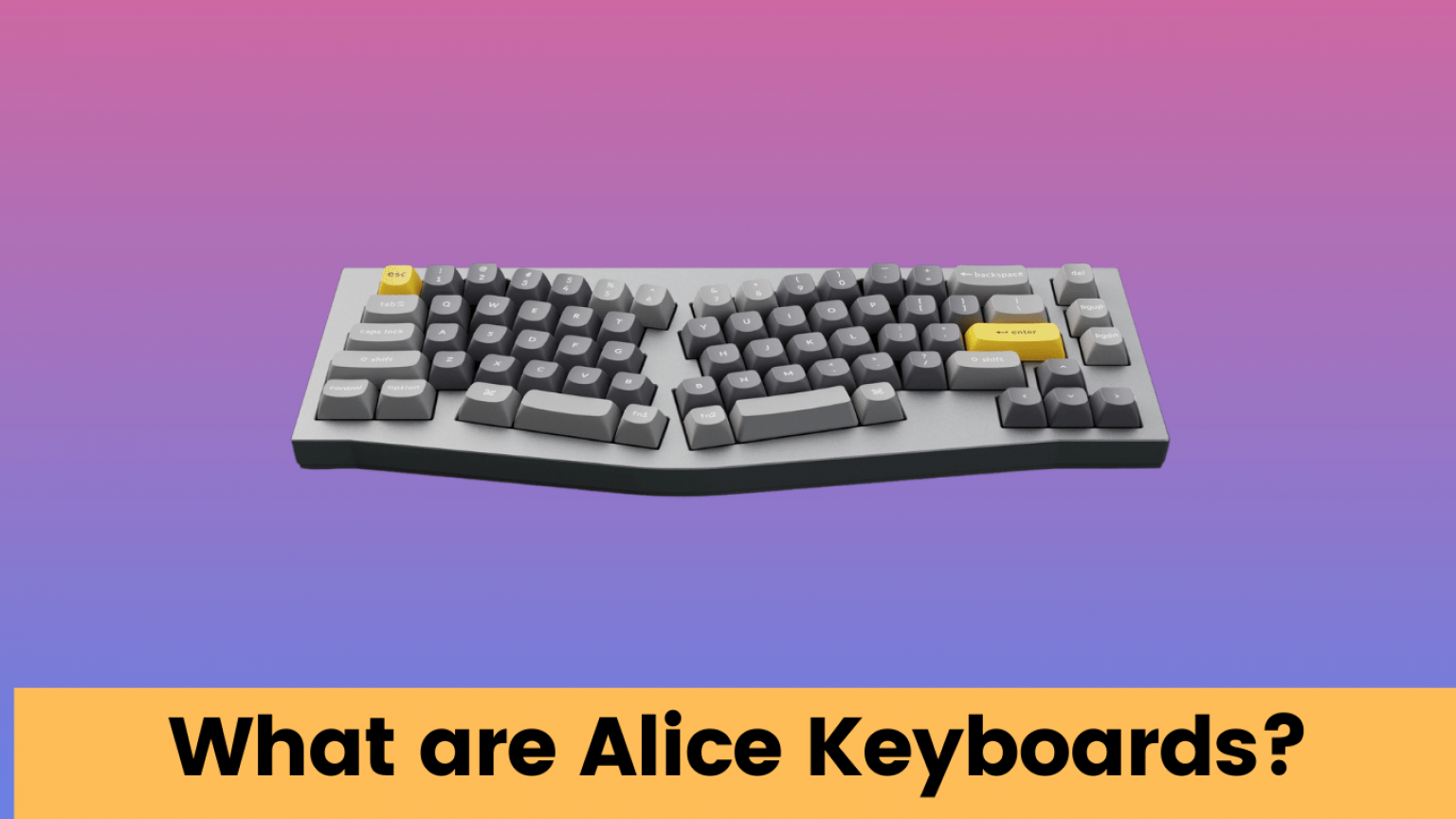 What are Alice Keyboards? Are They Worth It?