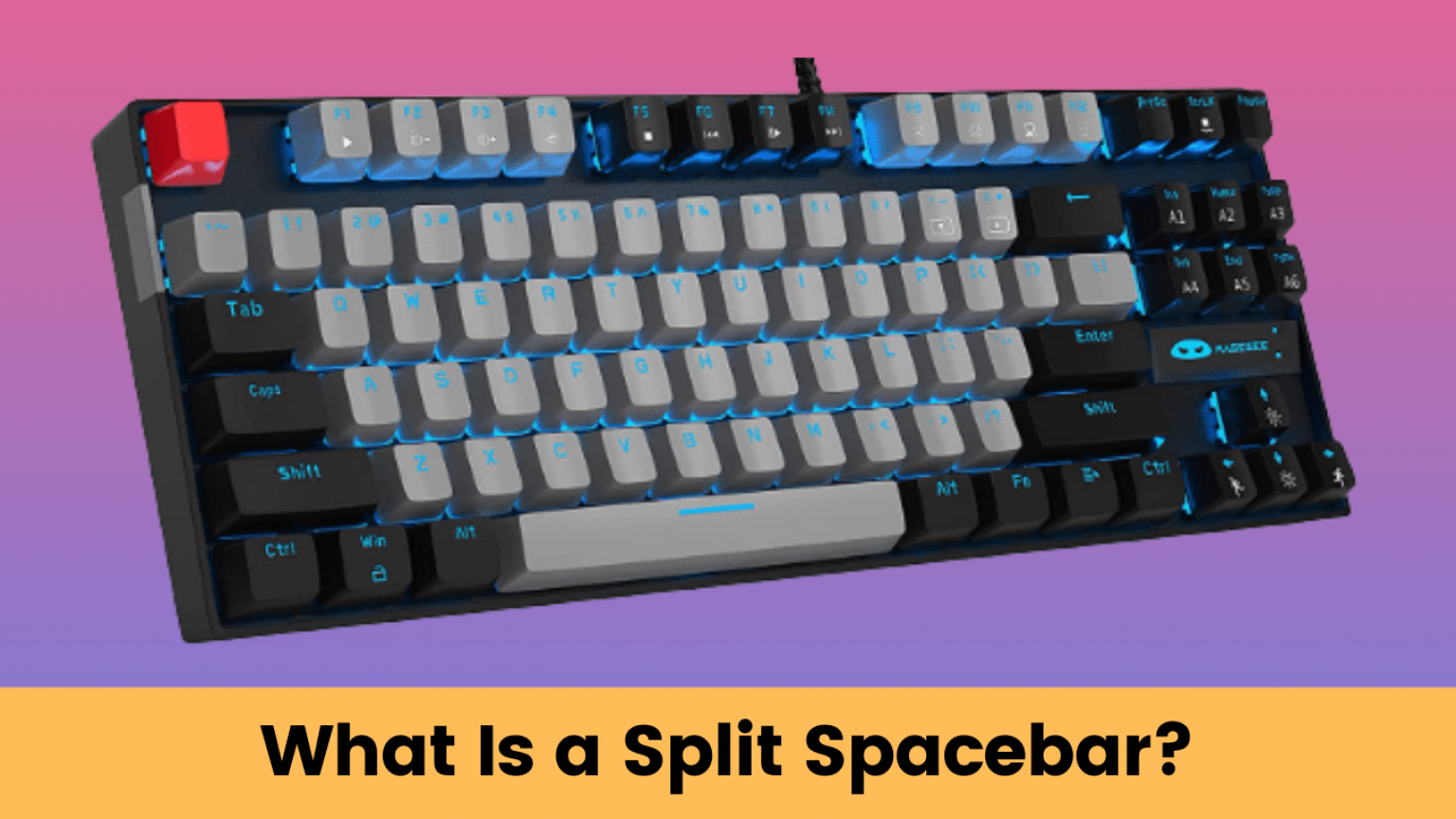 What Is a Split Spacebar? (Which Purpose Does It Have)